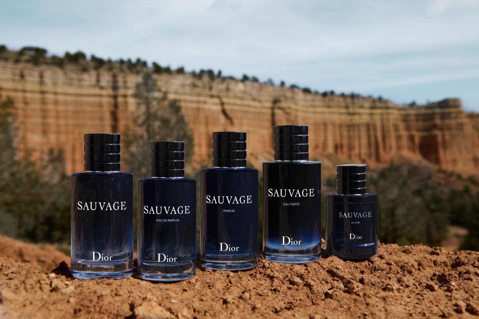 ฉลอง 10 ปี Dior Sauvage น้ำหอมผู้ชายที่ติดอันดับขายดีทั่วโลก - ELLE Men ...